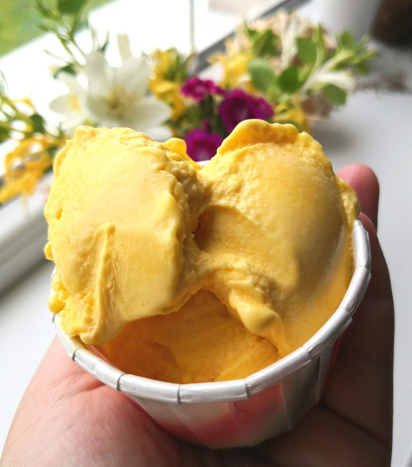Inghetata de mango – Gatitul e usor